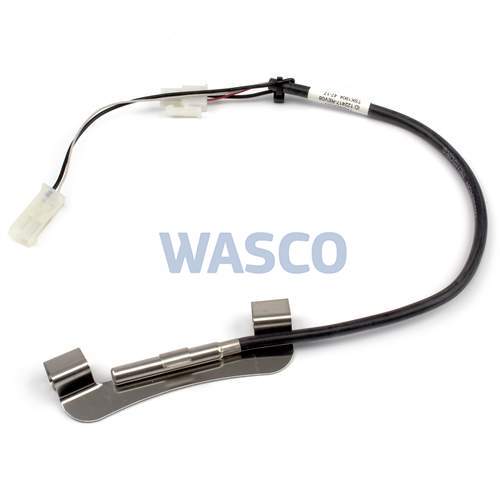 Remeha thermische beveiliging WW - Wasco